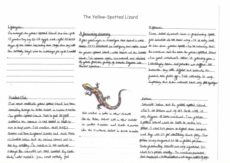 Year 5 are Lizard Experts! – Willow Brook Primary School